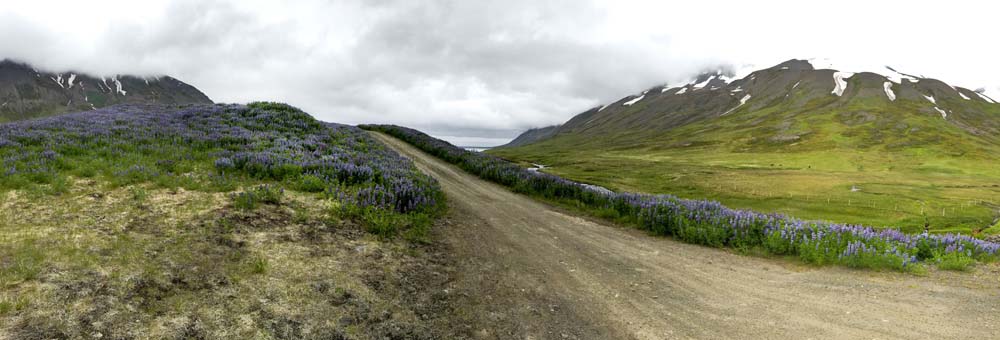 Iceland | Adventure Rider
